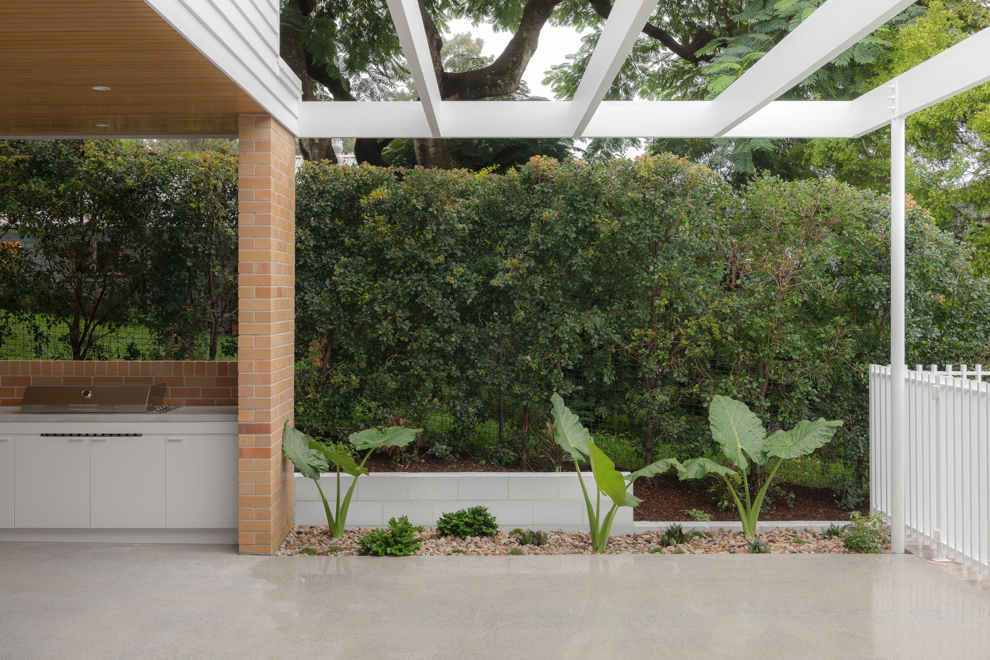 Taringa Haus 005 | Happy Haus