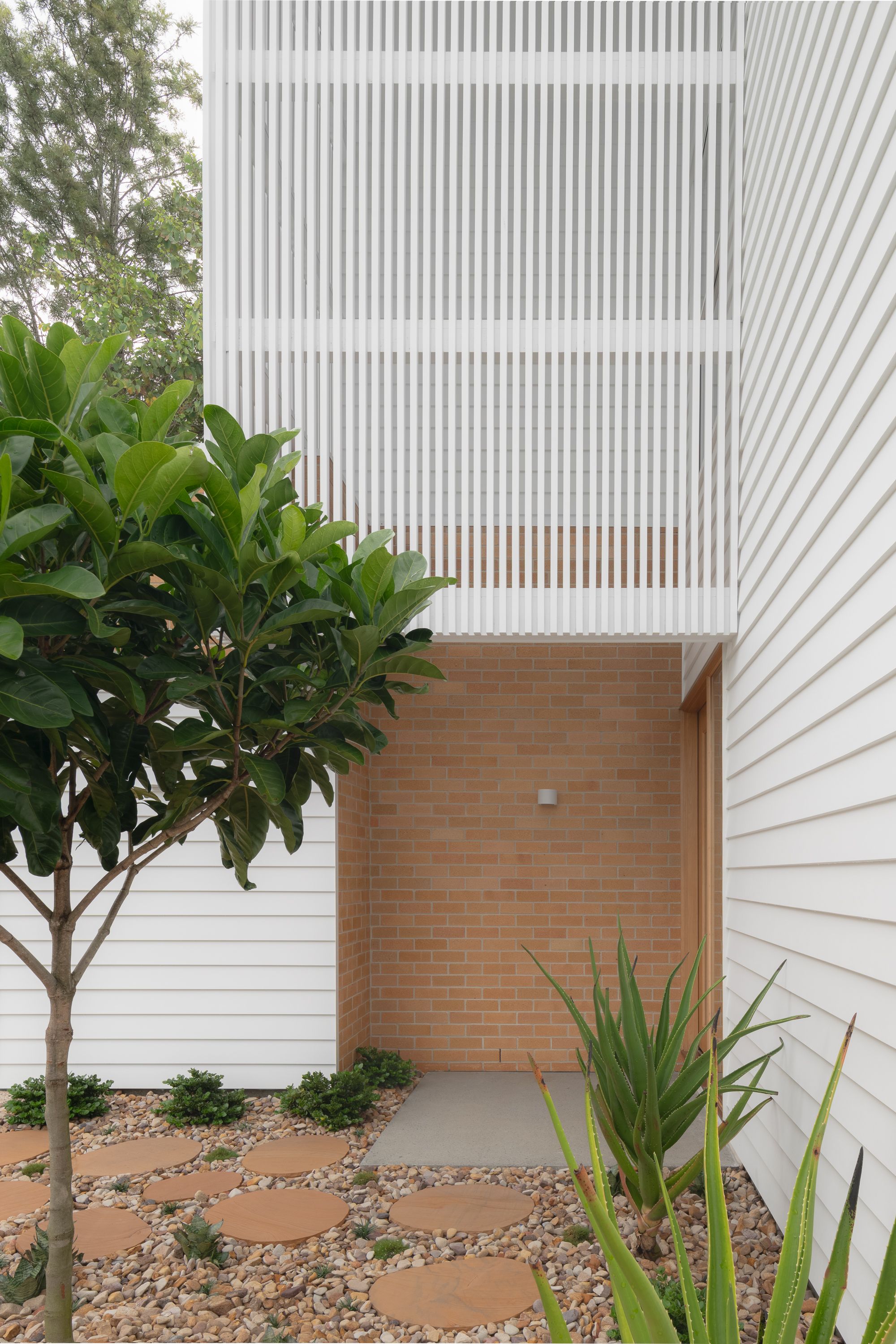 Taringa Haus 005 | Happy Haus